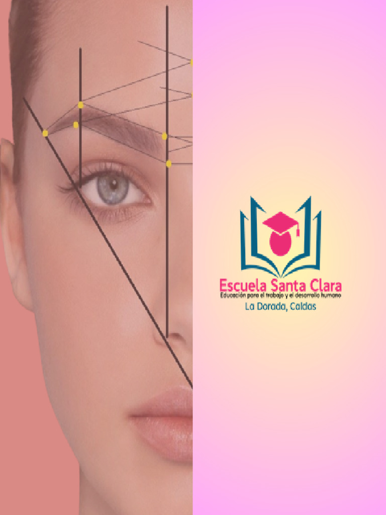TEORIA CEJAS.pdf | Descargar gratis PDF | Ceja | Color