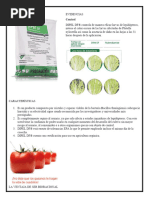 DECIS FORTE Ficha Tecnica 2024 | PDF