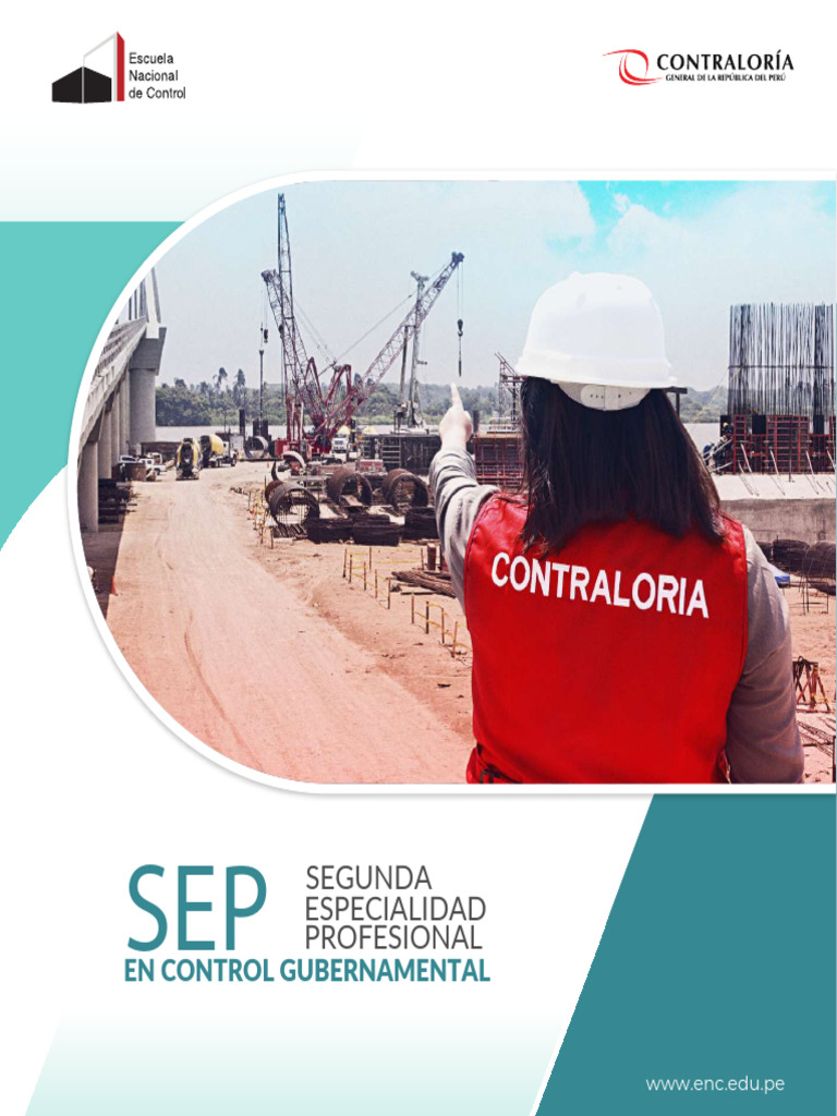 Brochure SEP 2024 | PDF | Auditoría