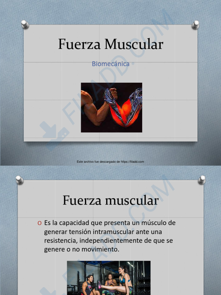Fuerza Muscular | Descargar gratis PDF | Músculo | Codo