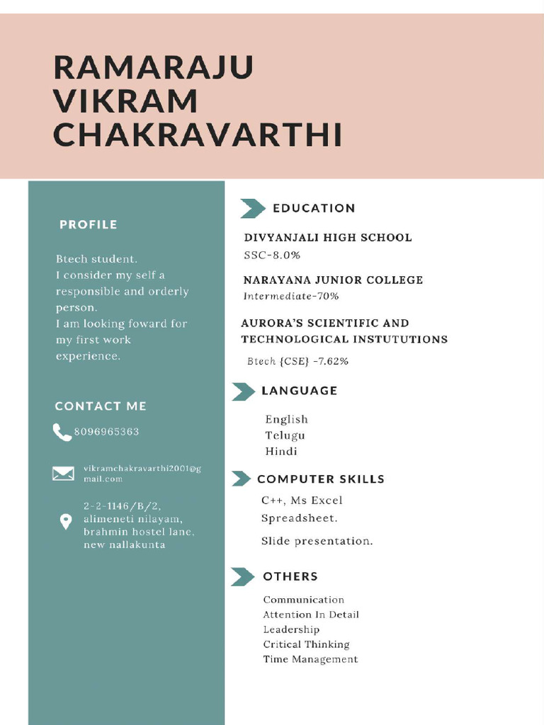 Vikram Resume | PDF