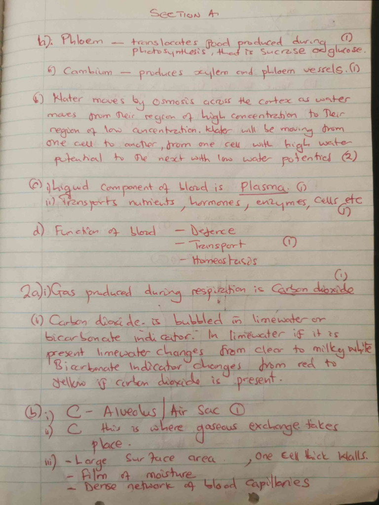 Cs p2 June 2023 Answers | PDF