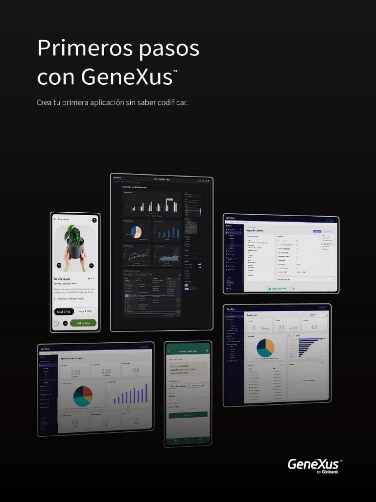 Primeros Pasos Con GeneXus 18 | PDF | Bases de datos | Objeto (informática)