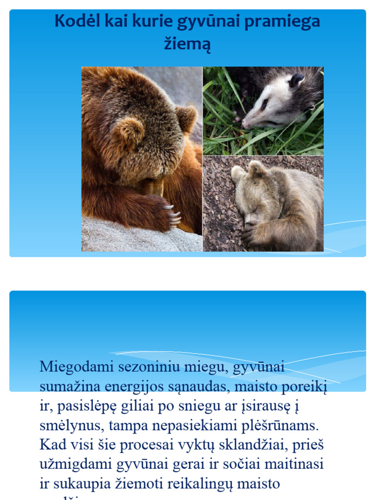 Kodėl Kai Kurie Gyvūnai Pramiega Žiemą | PDF