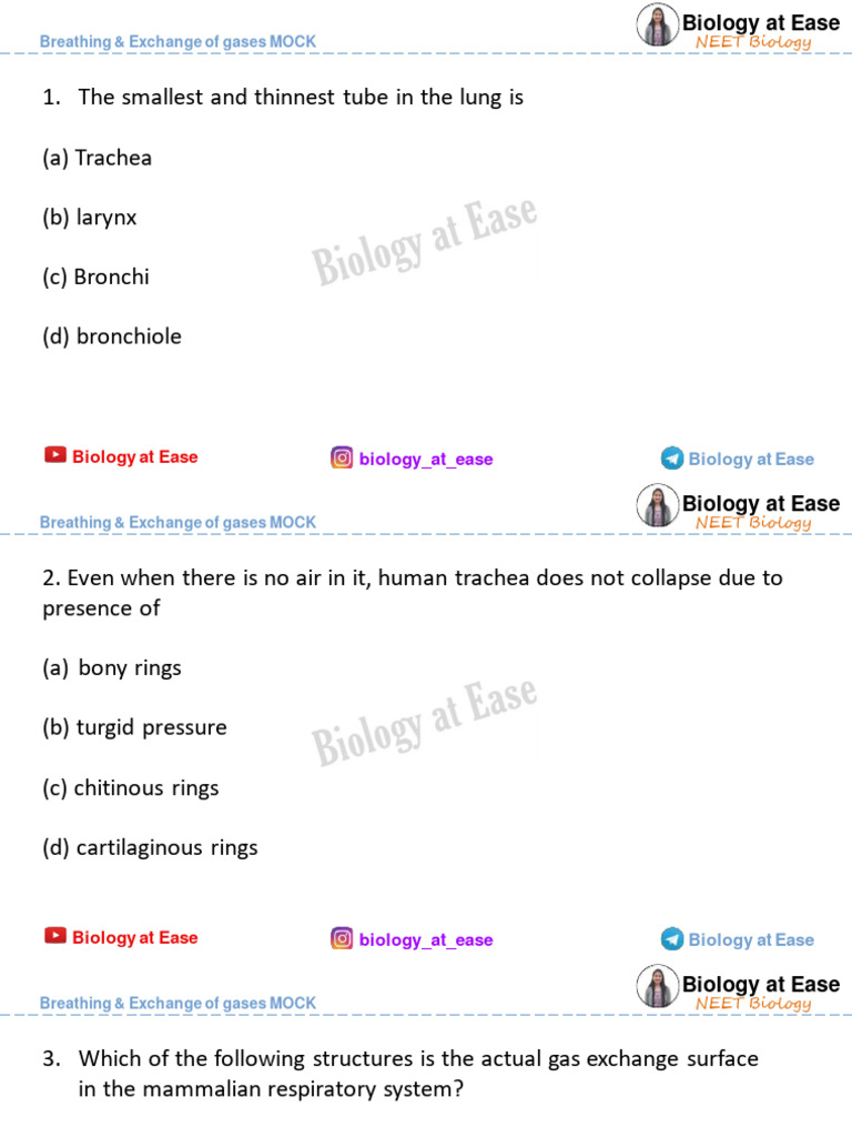 Breathing and Exchange of Gases MOCK | PDF | Respiratory System | Breathing