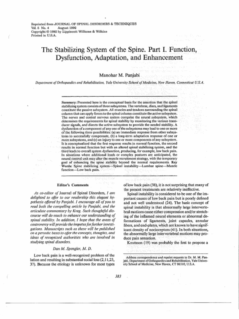 Panjabi Stabilizing Spine | PDF