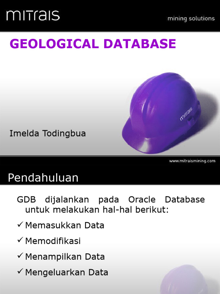 01 Geological Database | PDF