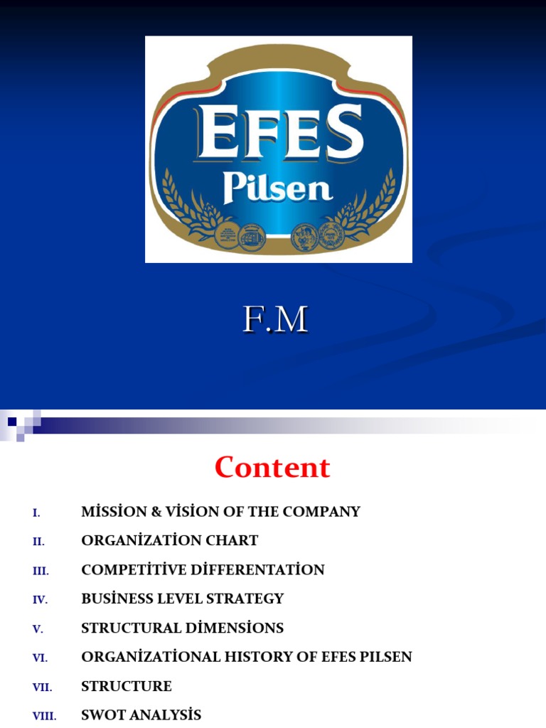 Efes | PDF | Organizational Structure | Strategic Management