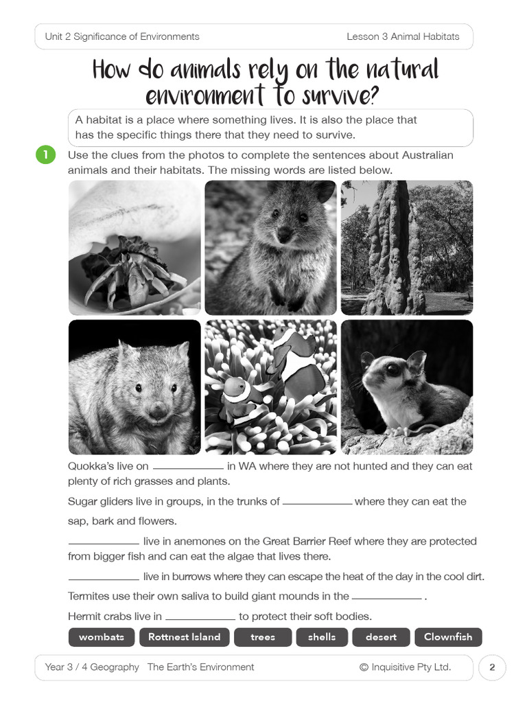 What Do Animals Need To Survive | PDF | Koala | Habitat