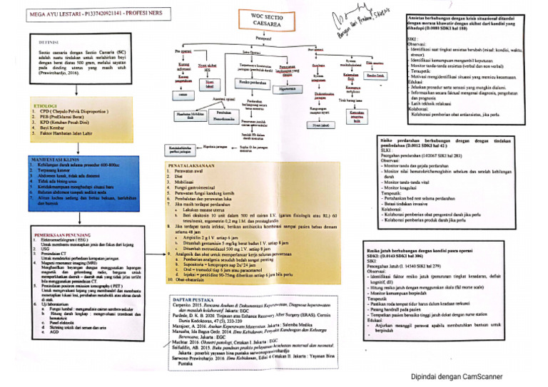 Woc SC Ibs - Mega Ayu Lestari | PDF