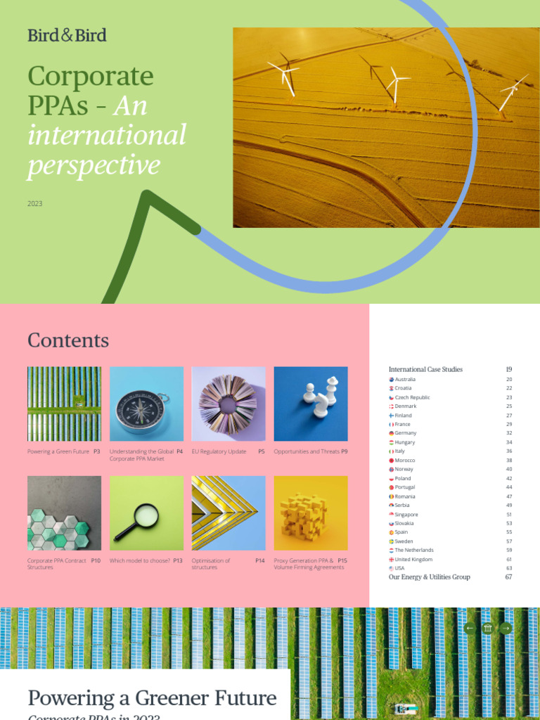 PPA Summary Country Wise | PDF | Renewable Energy | Hedge (Finance)
