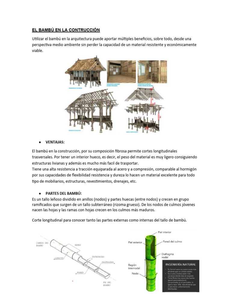 Beneficios del Bambú en Construcción | PDF | Tallo de la planta | Bambú