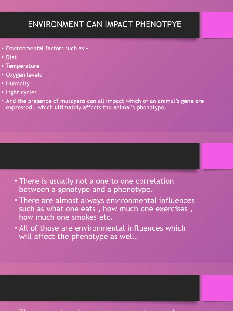 Environment Can Impact Phenotpye | PDF | Phenotype | Biology