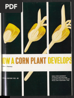 Understanding the Zadoks Growth Scale | PDF | Plant Morphology | Plant ...