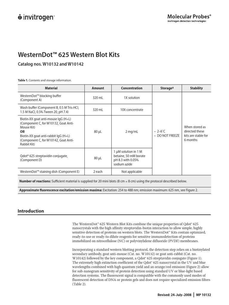 WesternDot™ 625 Western Blot Kits | PDF | Western Blot | Ultraviolet