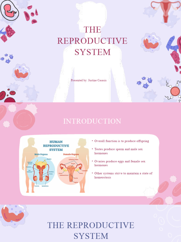 Reproductive-System | PDF | Menstrual Cycle | Luteinizing Hormone