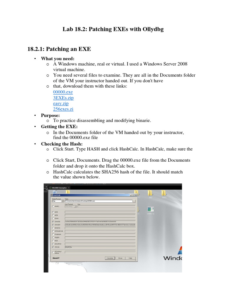 Lab 18.2 | PDF | Computer File | Filename