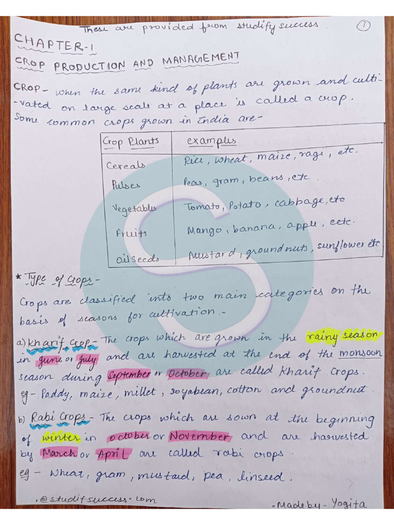Class 8 CH 1 Notes | PDF