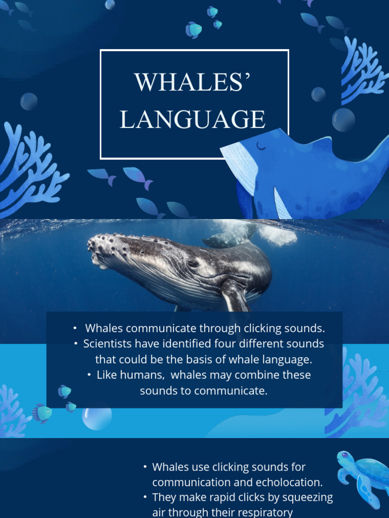 Whales | PDF | Social Science