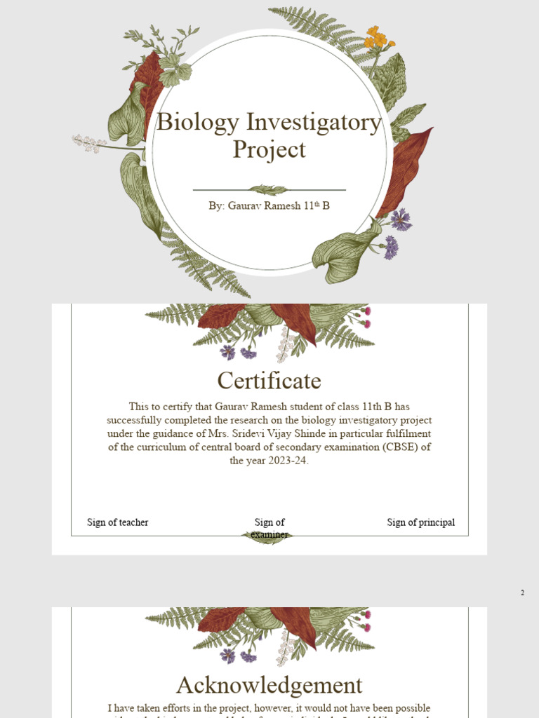 Biology Investigatory Project | PDF | Epilepsy | Electroencephalography