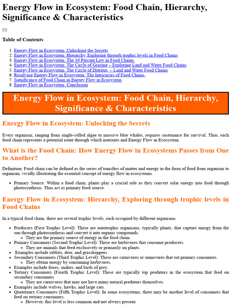 17.energy Flow in Ecosystem | PDF | Food Web | Ecosystem