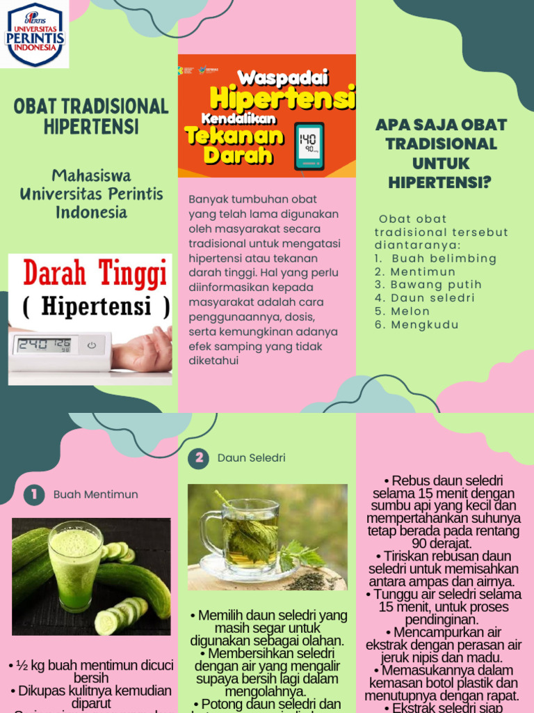 Leaflet Obat Tradisional Hipertensi - 20240605 - 225620 - 0000 | PDF
