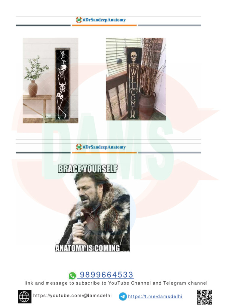 Anatomy Atf | PDF | E Commerce | Multimedia