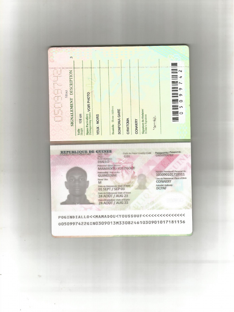 Mamadou Youssouf Diallo | PDF