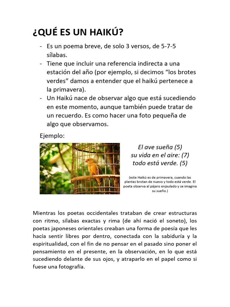 Cómo escribir un haikú: guía y ejemplos | PDF