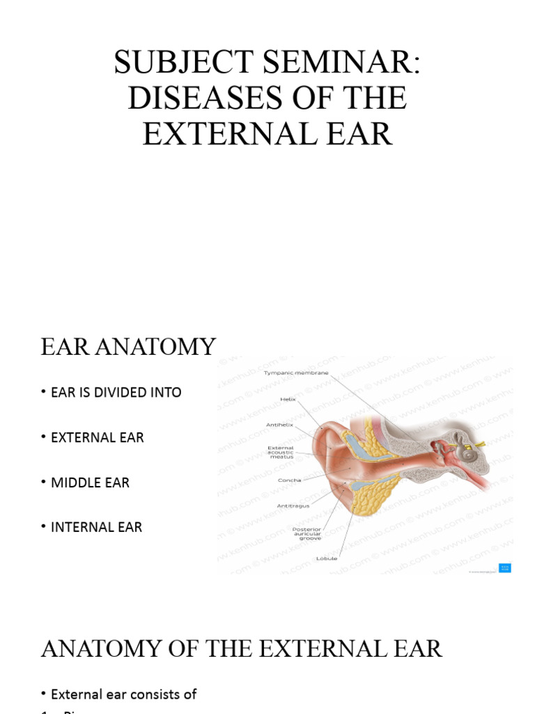 Communication Checklist | PDF | Ear | Clinical Medicine