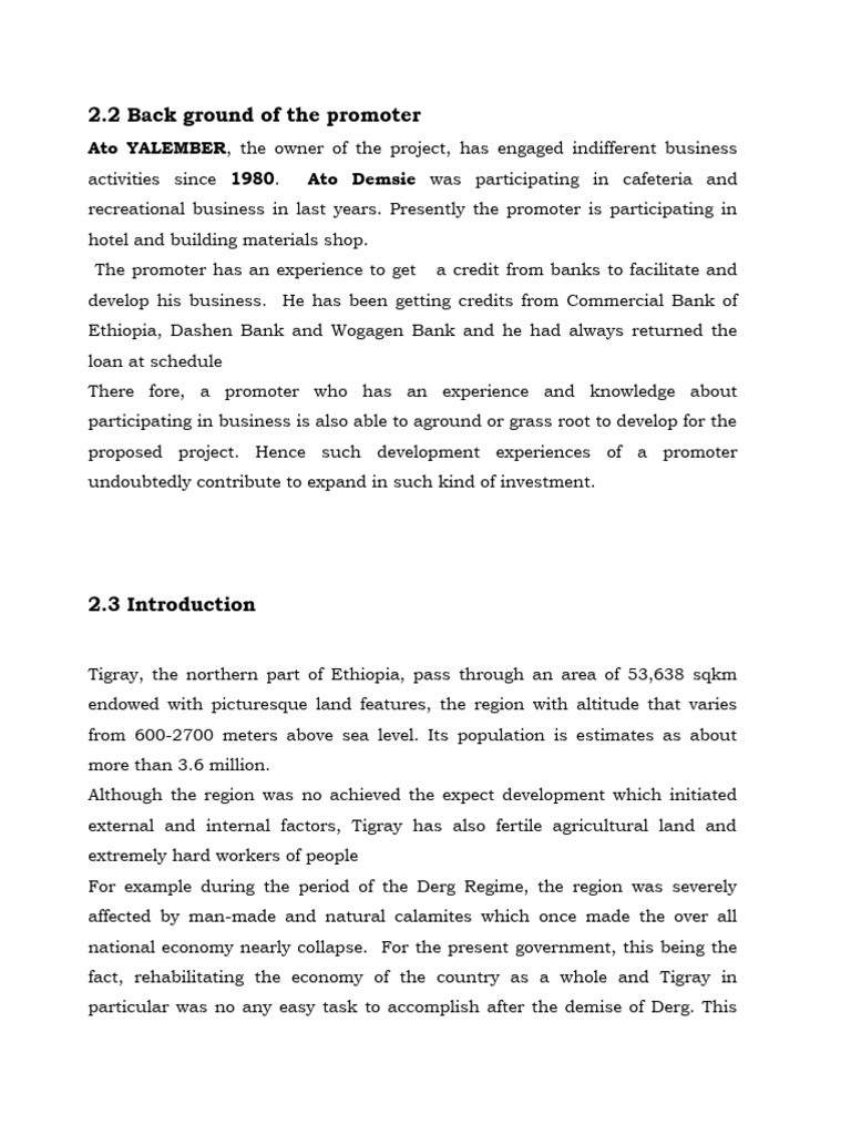 Axum Injera business plan project | PDF | Economies Axum Injera business plan project | PDF | Economies
