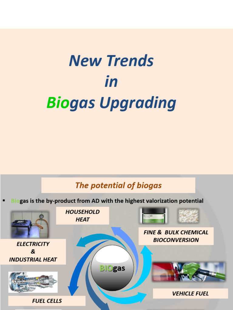 Biogas Upgrading and CO2 Seperation | PDF | Biogas | Chemistry