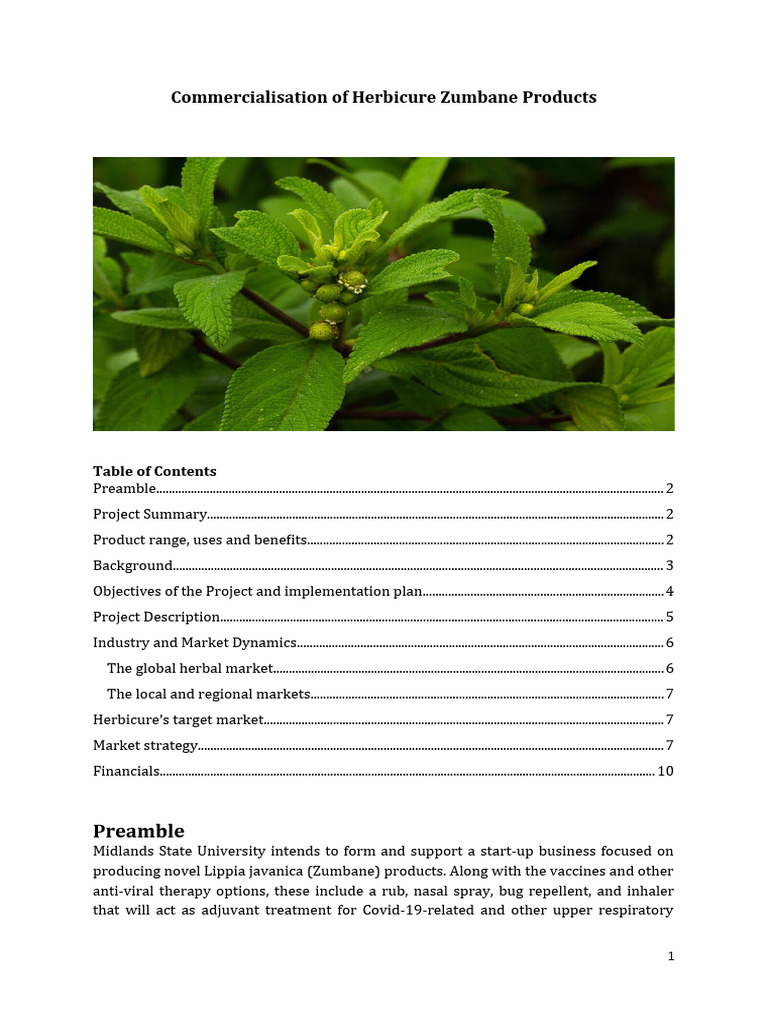 Zumbani Project Business Proposal - DRAFT - GC0108 | PDF | Pharmacy ...