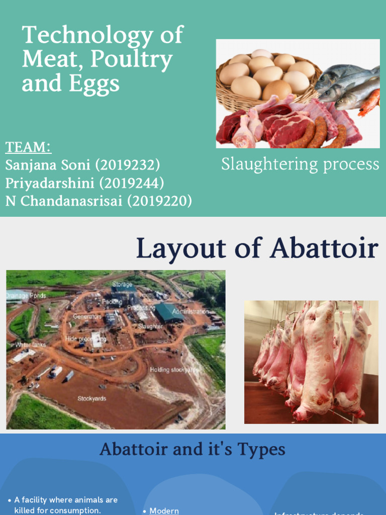 Unit 2 | PDF | Animal Slaughter | Meat
