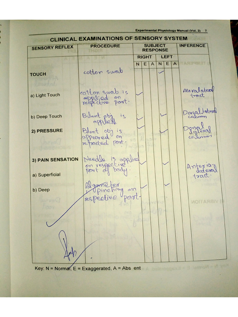 Physio Volume 2 | PDF