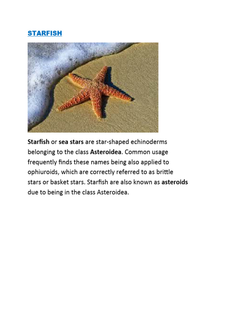 Starfish | PDF | Social Science | Home & Garden
