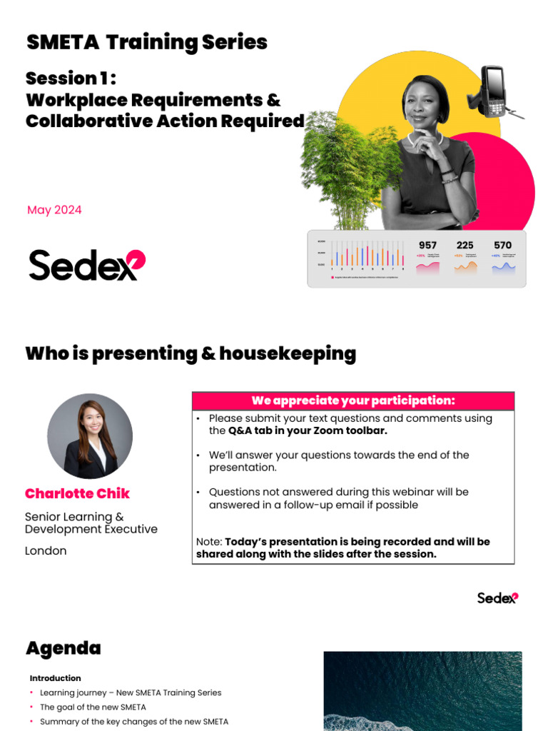 SMETA Training Session 1 For Buyers & Suppliers | PDF | Audit | Supply ...