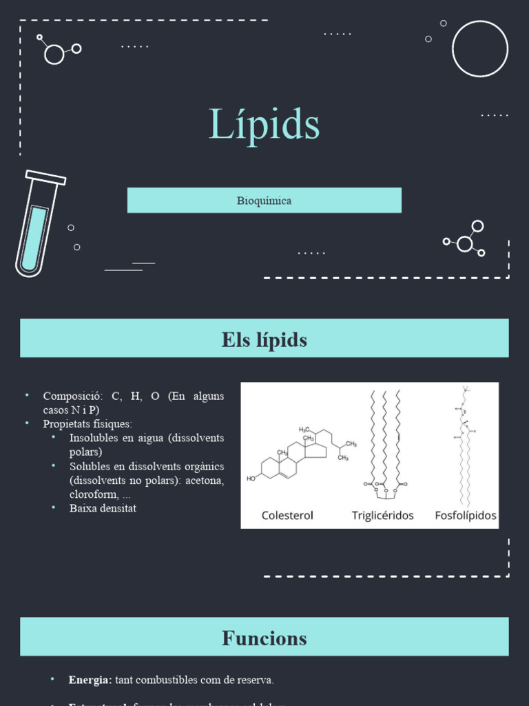 Lipids | PDF
