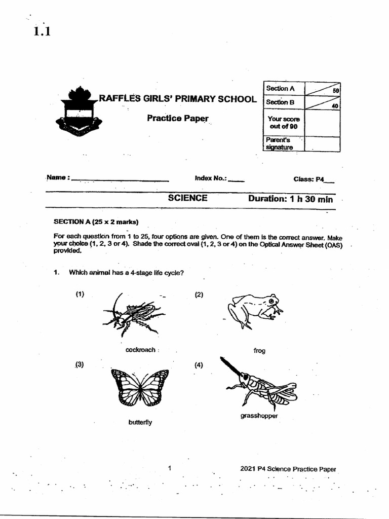 P4 - Science - 2023 - WA2 - Raffles Girls | PDF