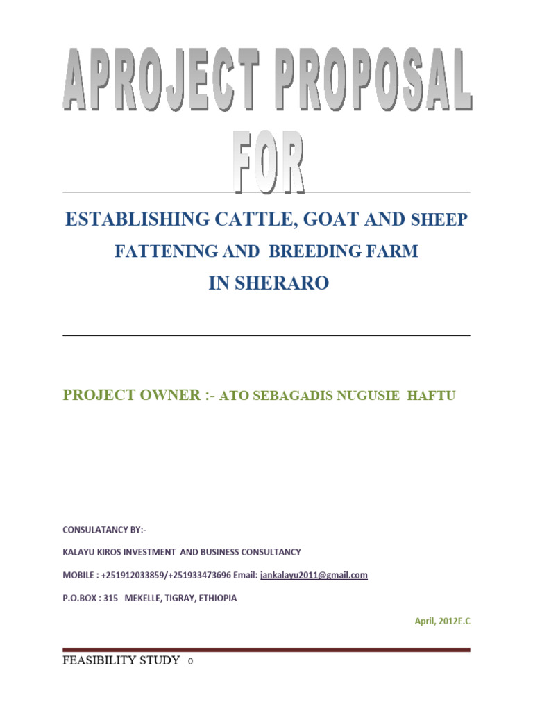 Draft Final FEASIBILITY STUDY OF SCHOOL | PDF | Internal Rate Of Return | Net Present Value