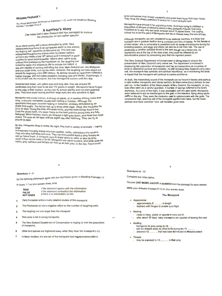 Test 1 | PDF | Birds | Ornithology