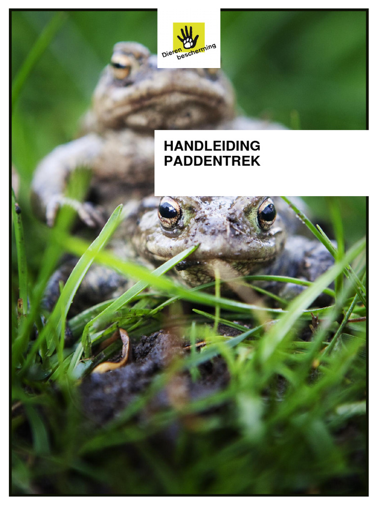 Paddentrek Handleiding Versie 30 12 2022 | PDF