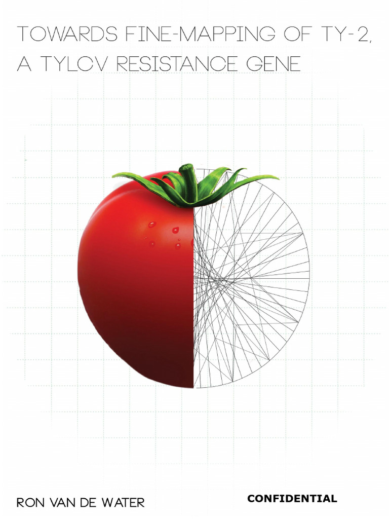 Fine Mapping of Ty2 | PDF | Zygosity | Genotype