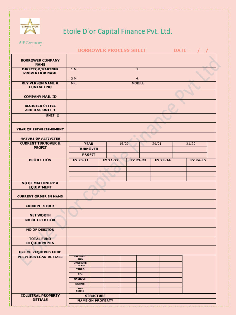 Borrower Process Sheet | PDF | Loans | Private Sector