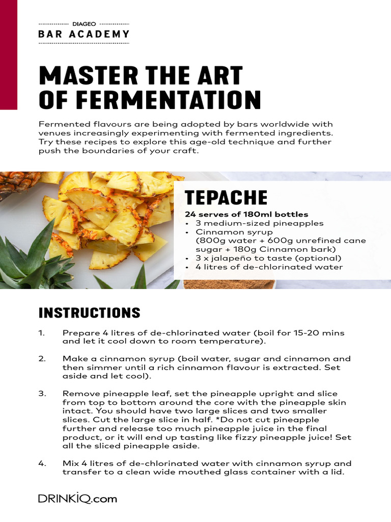 Master The Art of Fermentation | PDF | Fermented Foods | Alcoholic Drinks