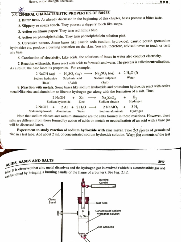 General Properties of Bases | PDF
