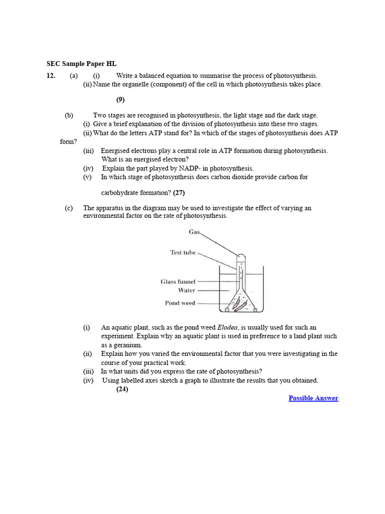 Section C Questions Photosynthesis | PDF | Photosynthesis | Cellular ...