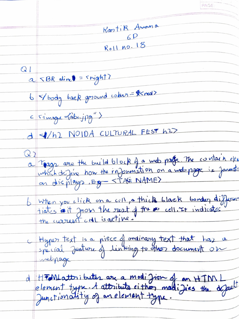 Computer Final Exam by Kartik Awana 6 D Roll No. 18 | PDF