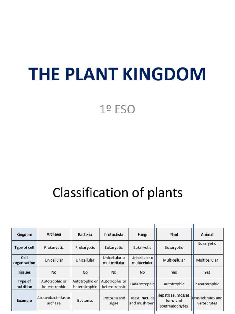 Plant Kingdom Classification Overview | PDF | Root | Plants
