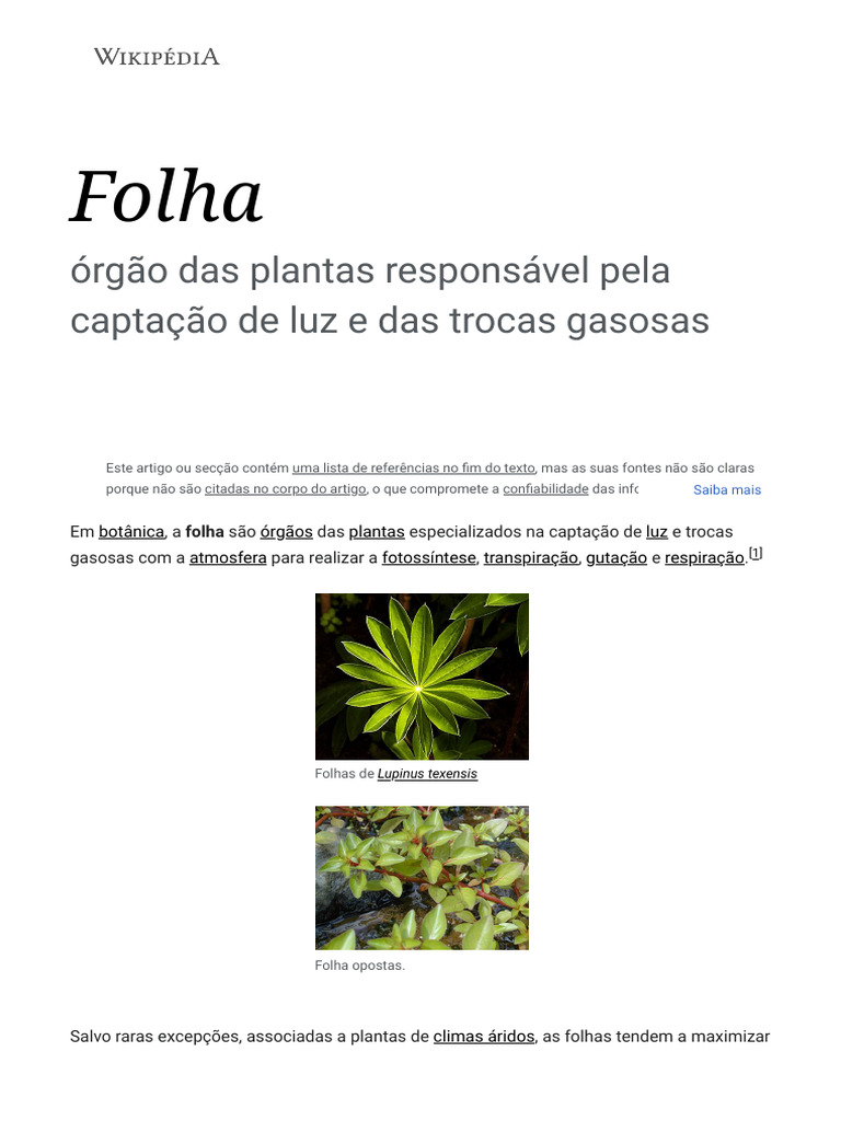 Anatomia e Morfologia das Folhas | PDF | Folha | Áreas da Botânica